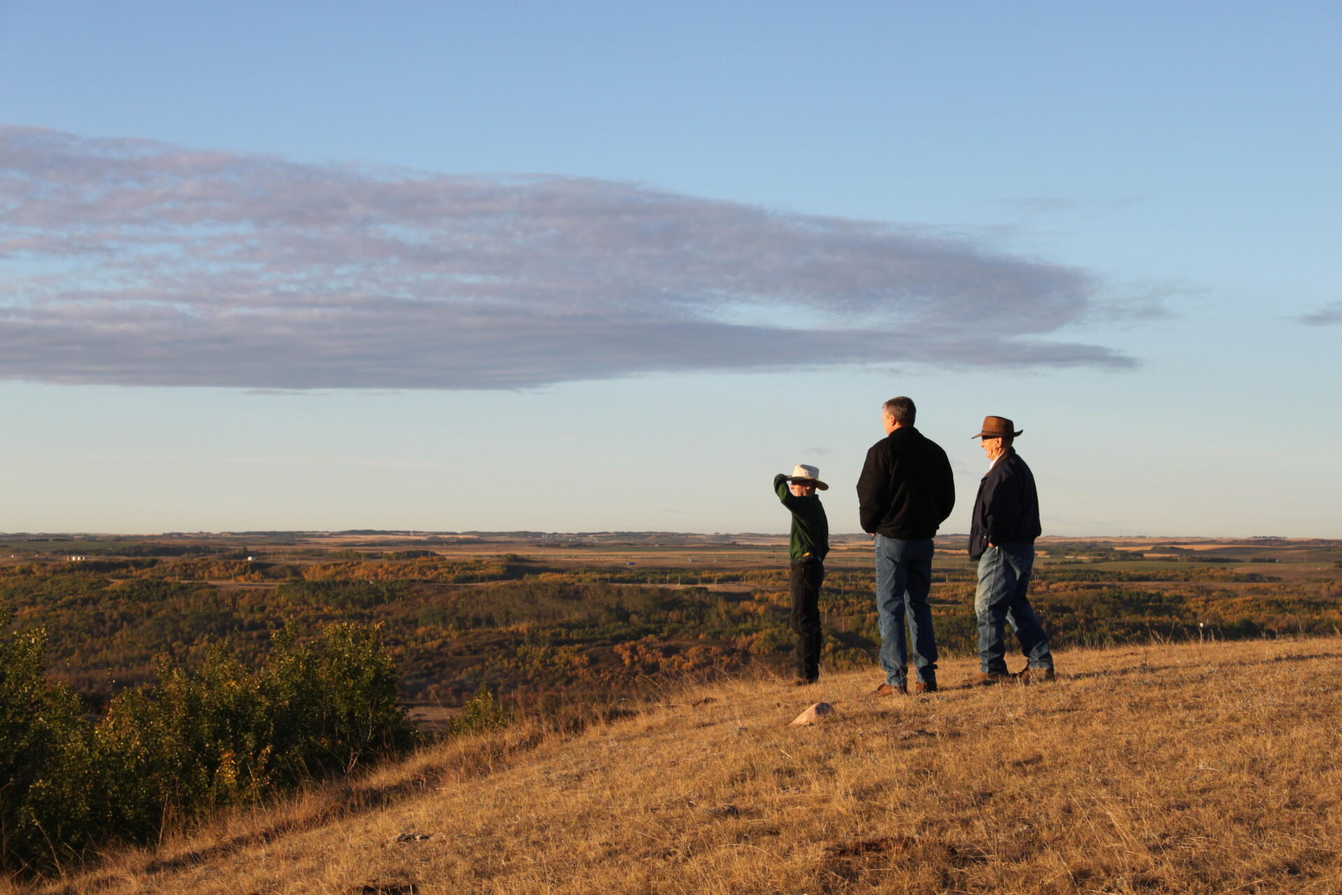 Round Rock Ranching - 2014 | Alberta Beef