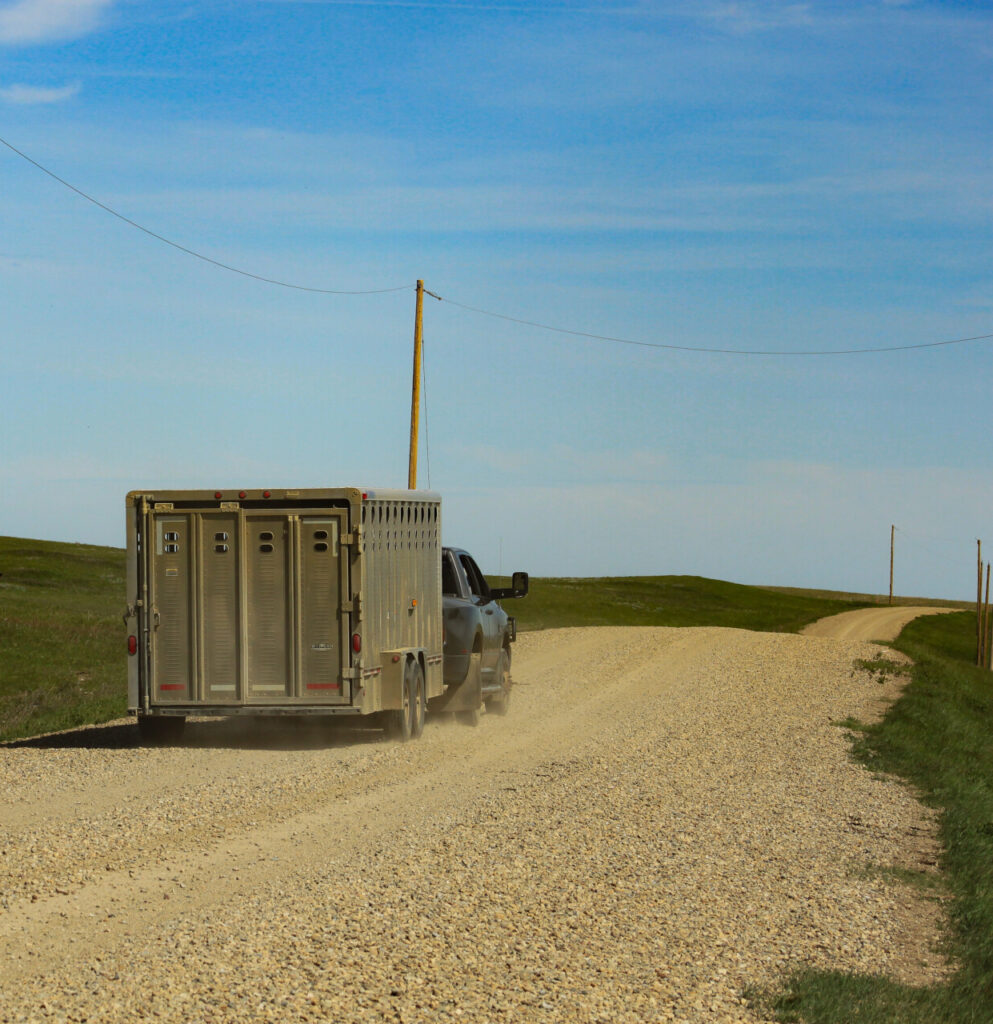 Resources | Alberta Beef